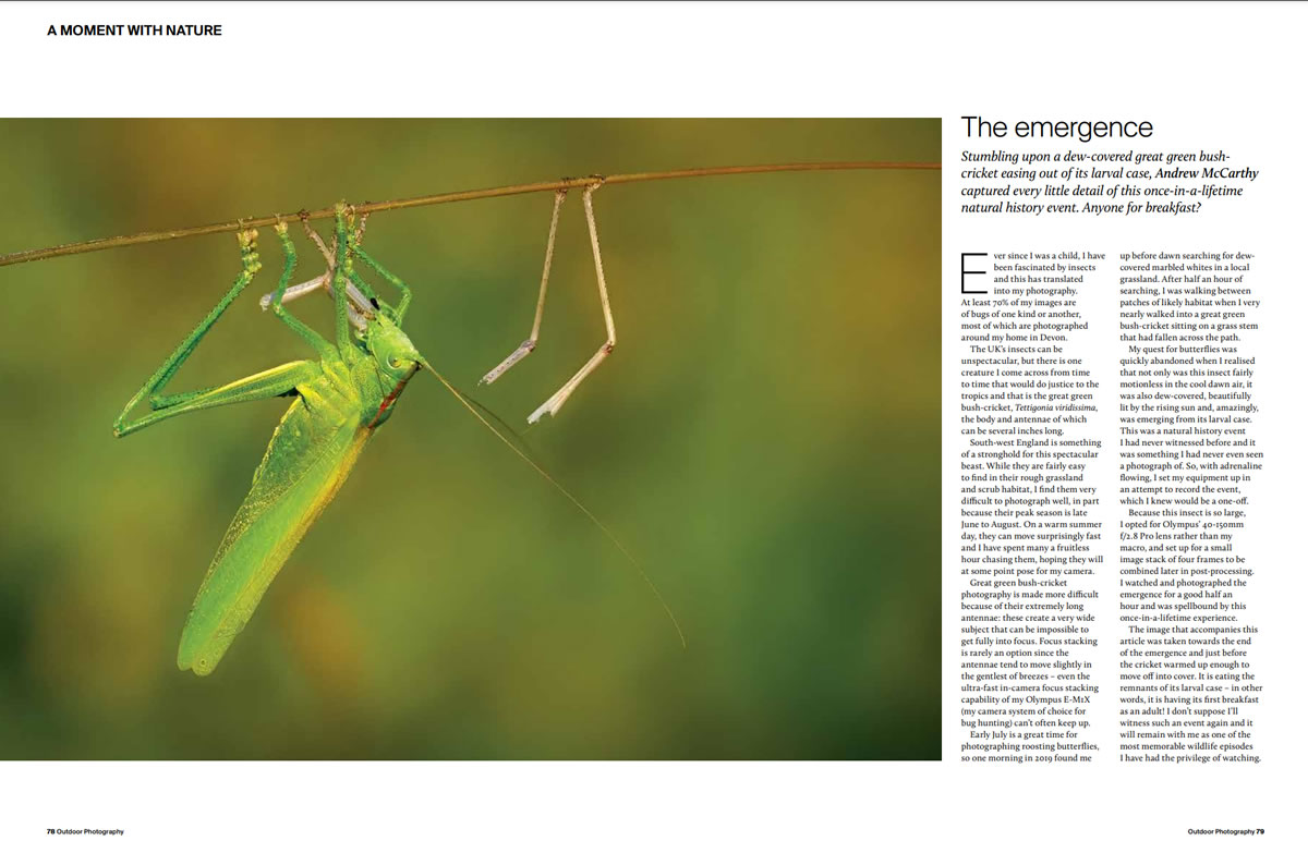 A Moment with Nature – Outdoor Photographer – Andrew McCarthy Photography