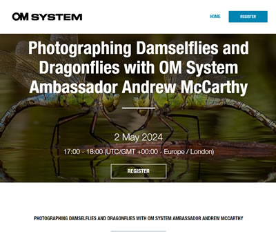 Andrew McCarthy Photography - Southwest UK photographer