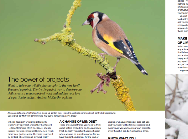 Andrew McCarthy Photography - Southwest UK photographer