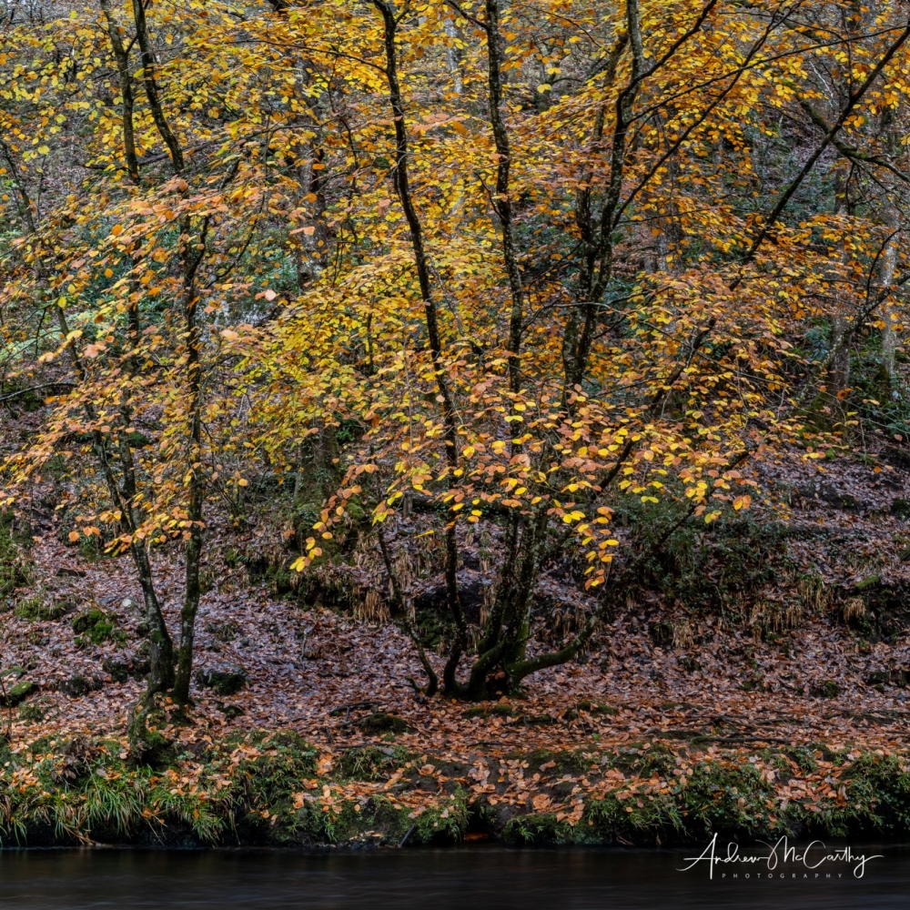 Landscape – Andrew McCarthy Photography