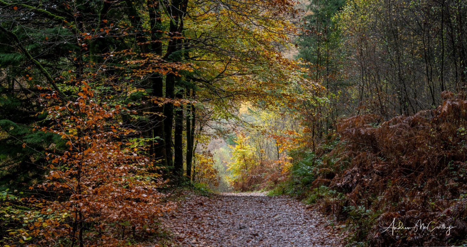 Landscape – Andrew McCarthy Photography