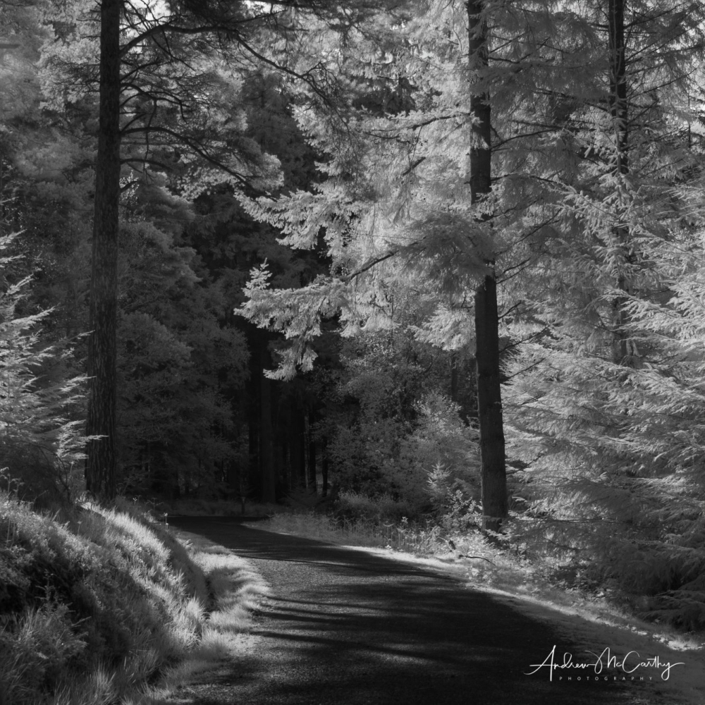 Landscape – Andrew McCarthy Photography