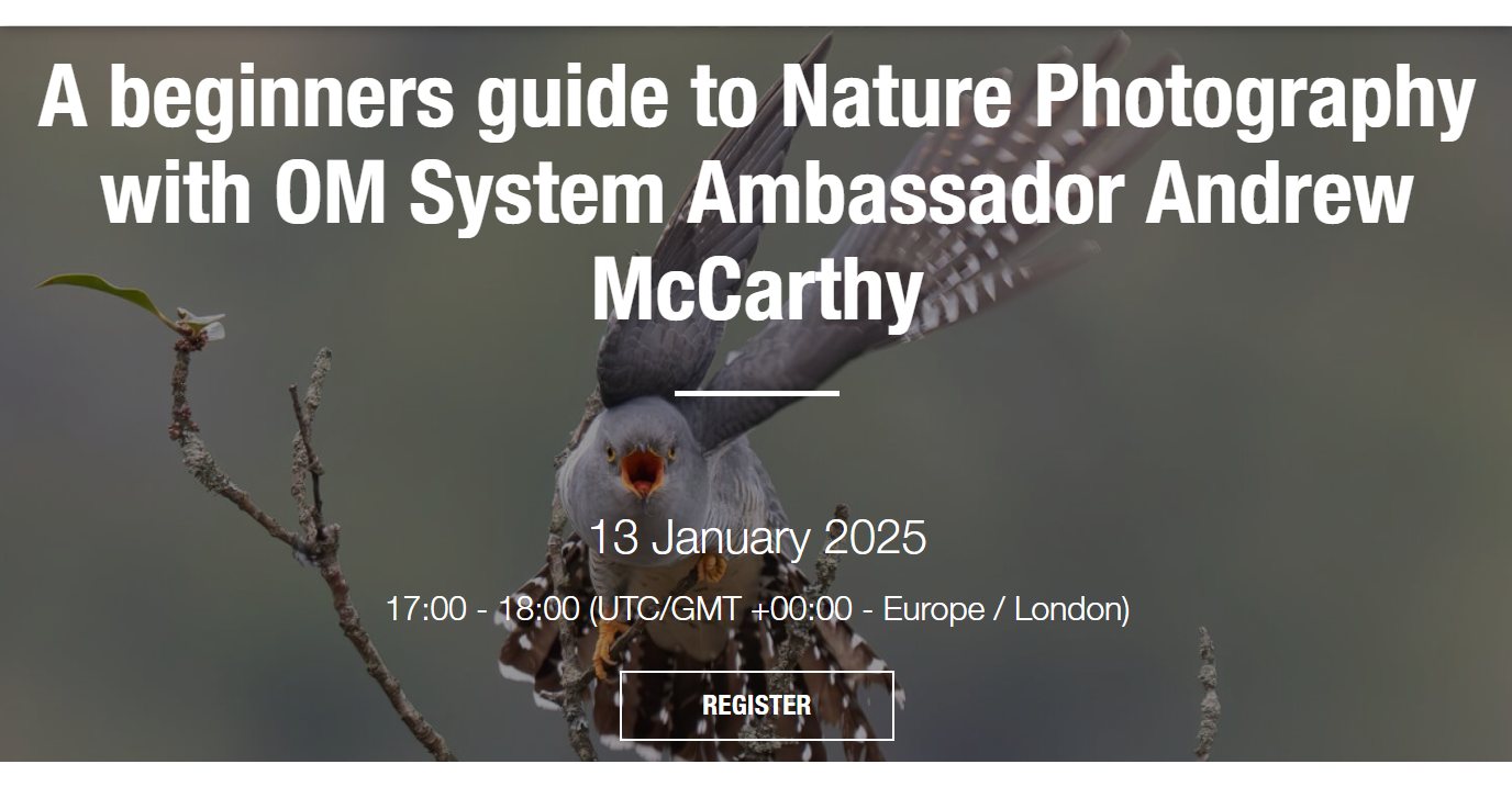 Andrew McCarthy Photography